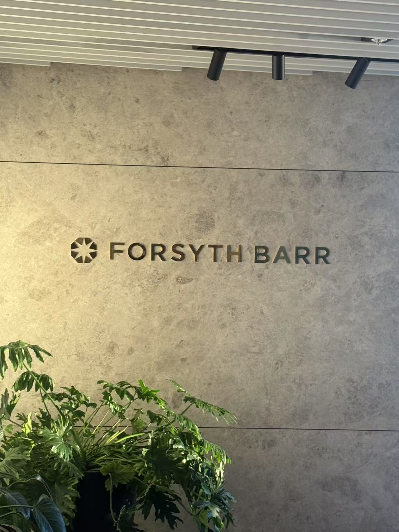 Forsyth Barr Head Office – Premier Decorator